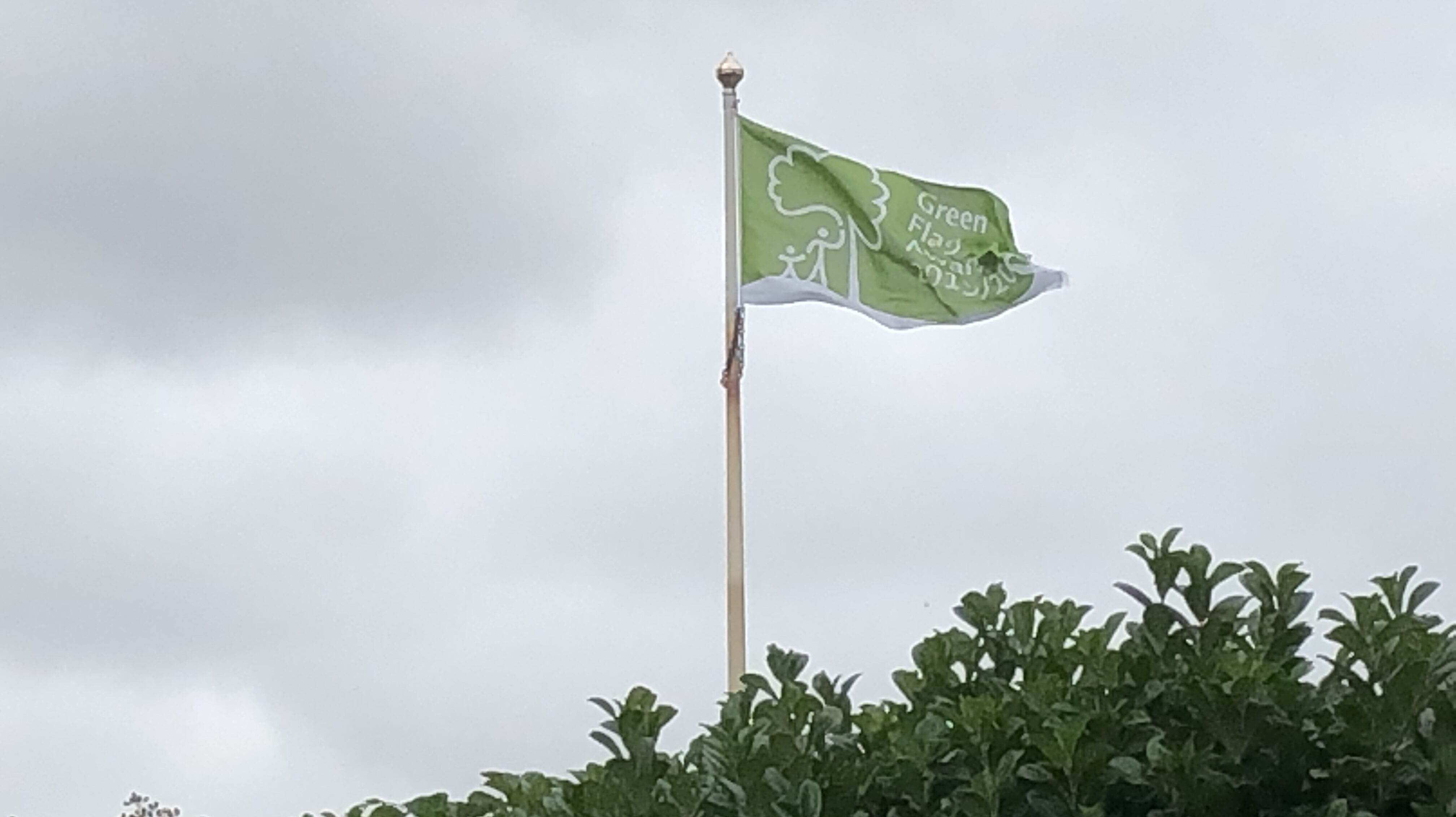 Six Luton parks retain prestigious award that rewards Britain’s top ...