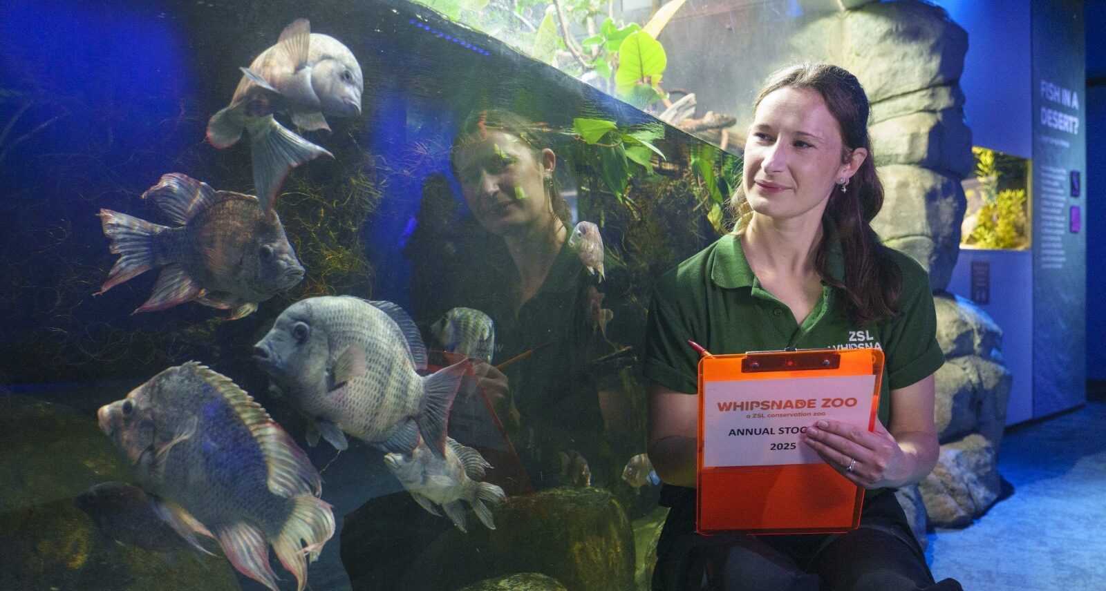 Whipsnade Zoo tallies up its animals in mammoth stocktake - The Lutonian
